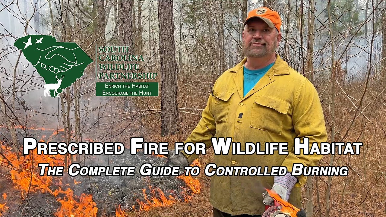 Prescribed Fire for Wildlife Habitat: The Complete Guide to Controlled ...