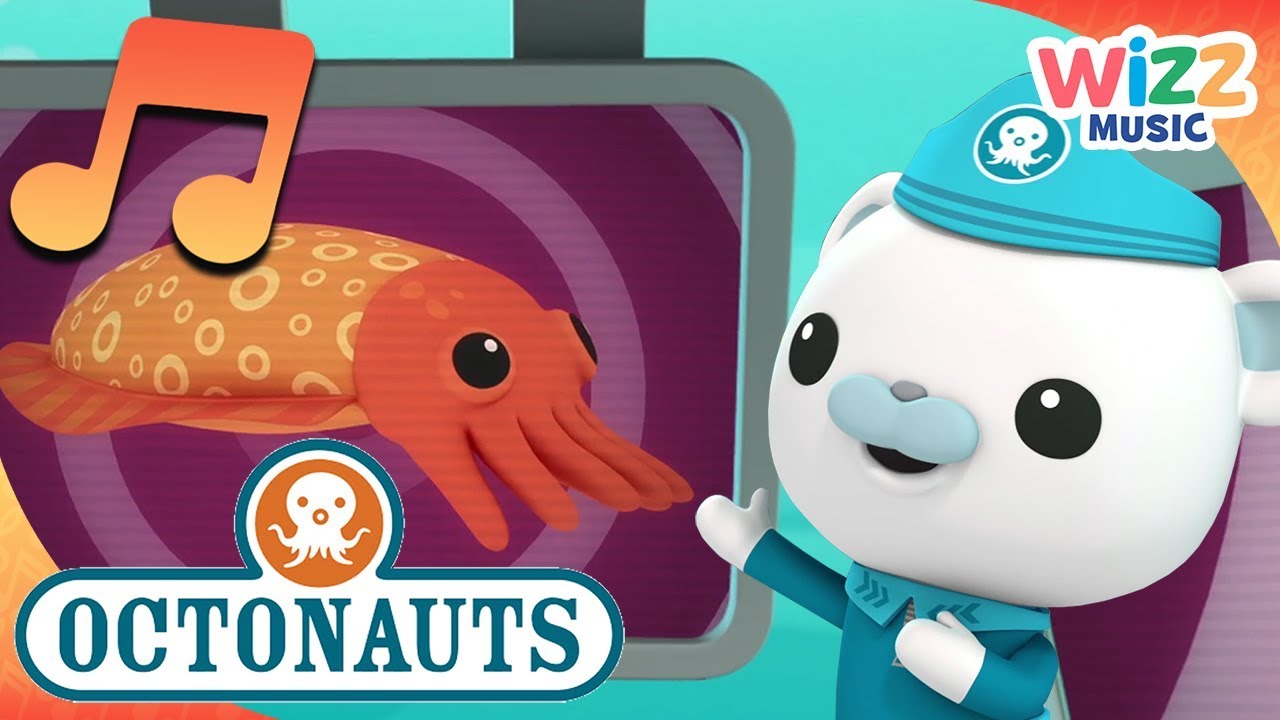 Cute Cuttle Fish | Songs for Kids | Octonauts | Wizz Music - YouTube