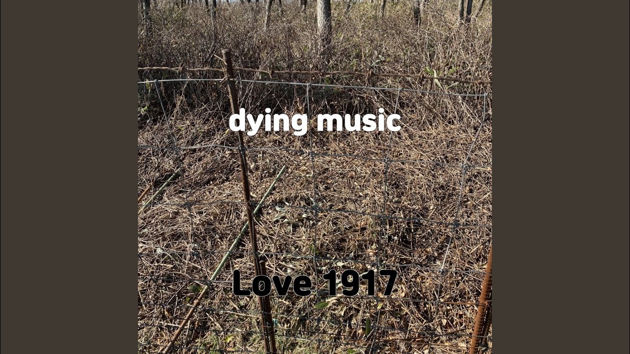 dying music - YouTube