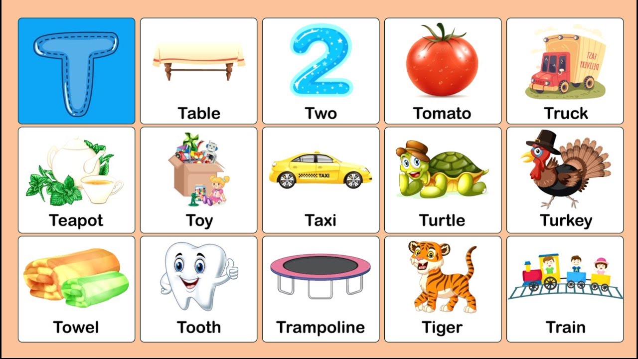 Words From T | Vocabulary Words | Early Childhood Education | ABC ...