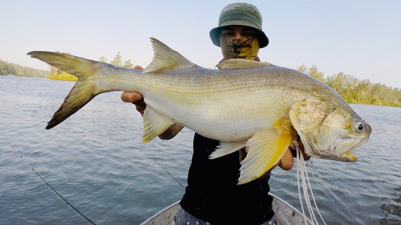 How To Catch King Threadfin Salmon PART 1 YouTube how-to-catch-king-threadfin-salmon-part-1-youtube
