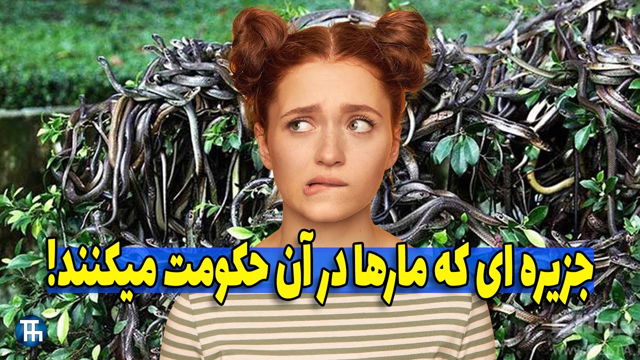 جزیره مار ها Youtube