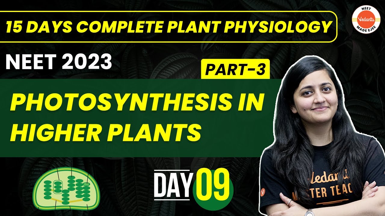 Photosynthesis in Higher Plants Class 11 (PART - 3) | Photosynthesis ...