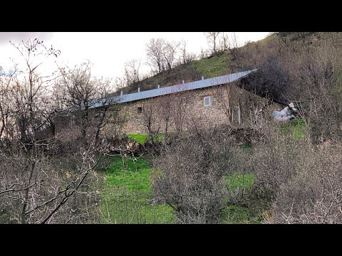 Dağ Köyünde Gerçek Bir Yaşam. I Escaped the Modern World and Chose a Simple Life🏕️