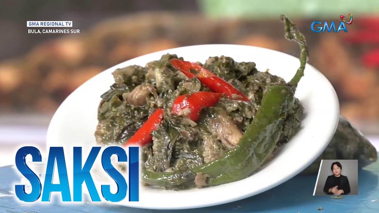 Katnga o gabi leaves, ginawang main ingredient sa isang cooking contest ...