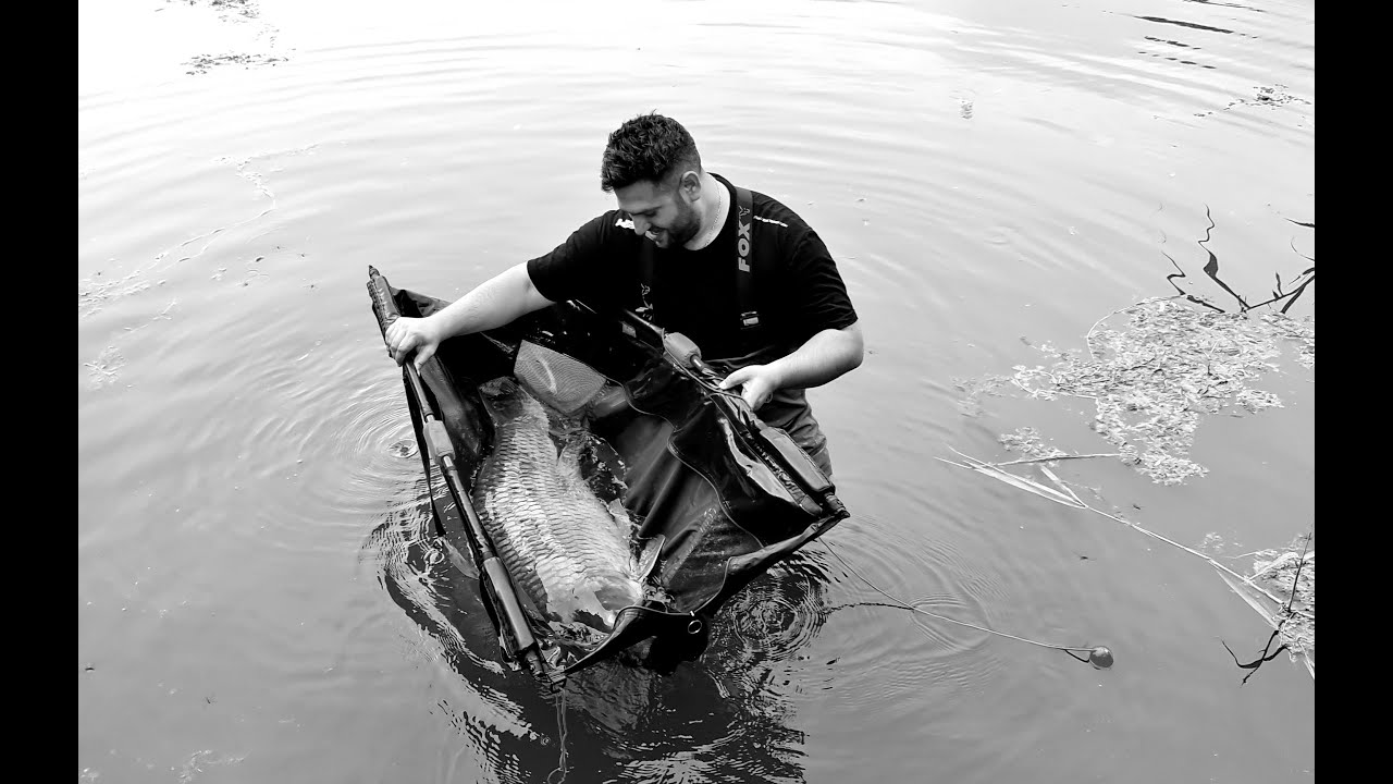 Carp Lake Zabar (Bosnia) - June 2022 - YouTube
