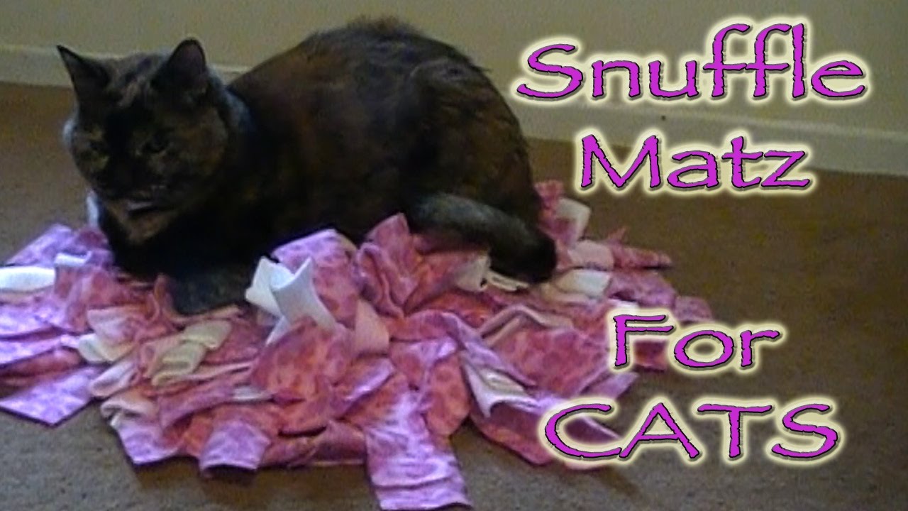 Snuffle Matz - CATS - YouTube