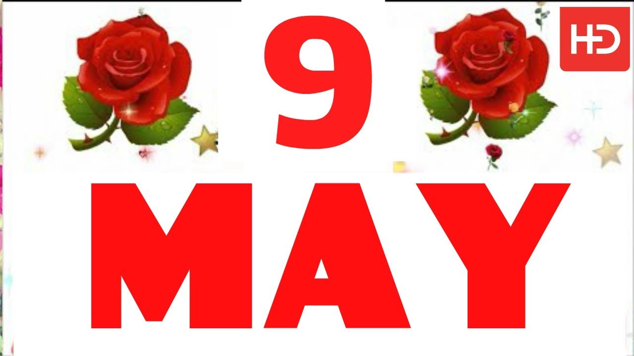 9 May Special New Birthday Status Video , happy birthday wishes ...