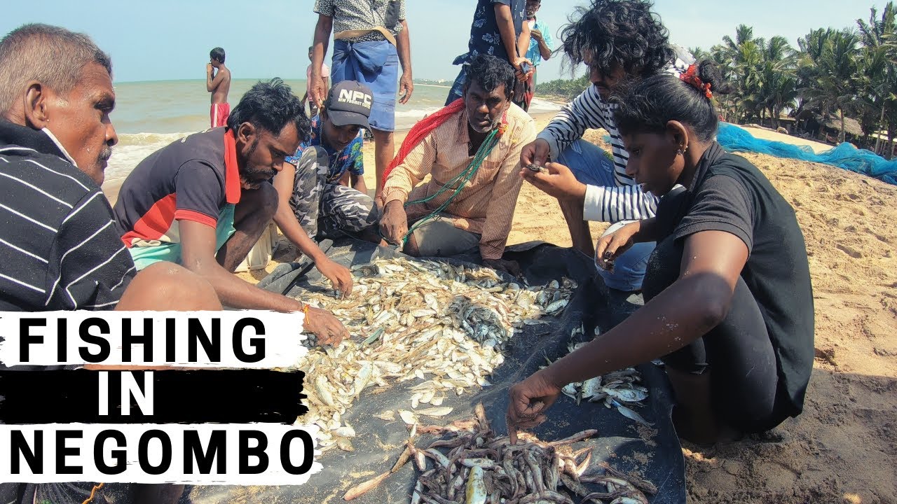 FISHING WITH LOCALS IN NEGOMBO SRI LANKA || AN EVENTFUL & UNEXPECTED ...
