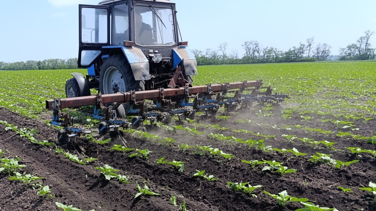 6 червня 2025 р. - YouTube