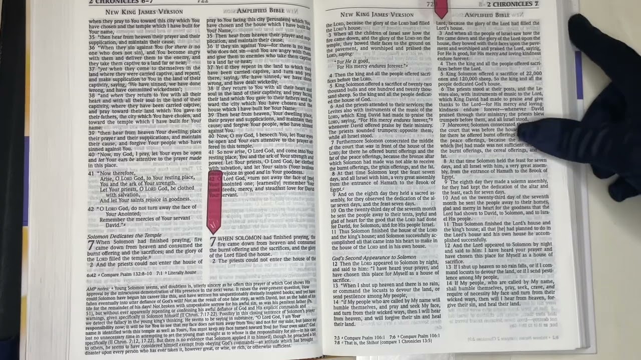 Your Daily BREAD THE BIBLE 7 16 24 Psalm 89 30 52 Proverbs 16 Your Daily BREAD THE BIBLE 7 16 24 Psalm 89 30 52 Proverbs 16
