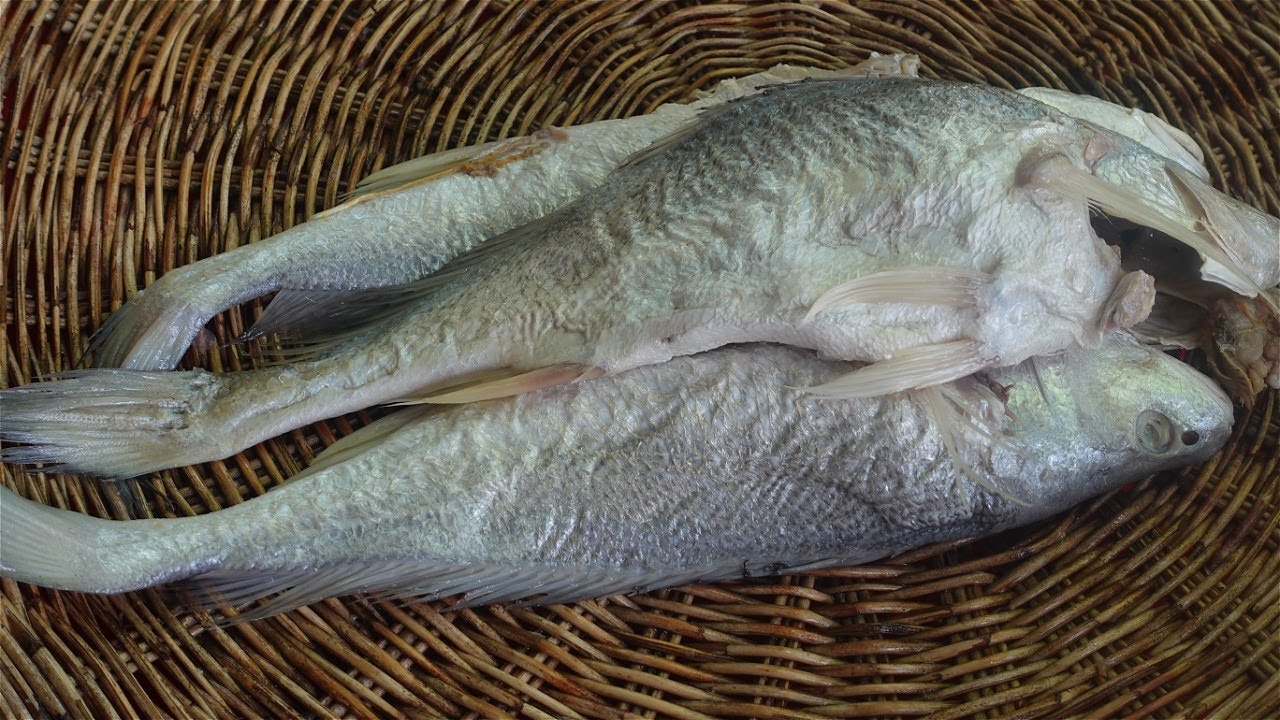 របៀបធ្វើត្រីប្រម៉ា / Salted Boeseman Croaker Fishes - YouTube