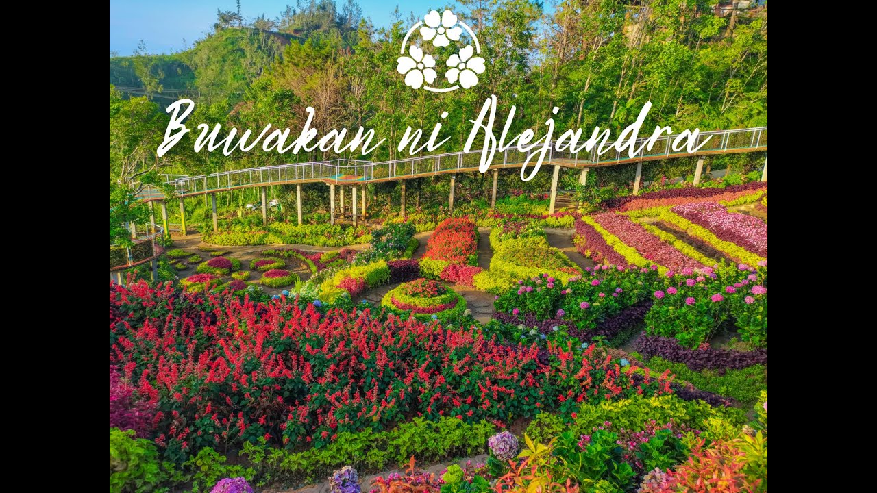 Buwakan ni Alejandra, Balamban's Gorgeous Flower Garden... - YouTube