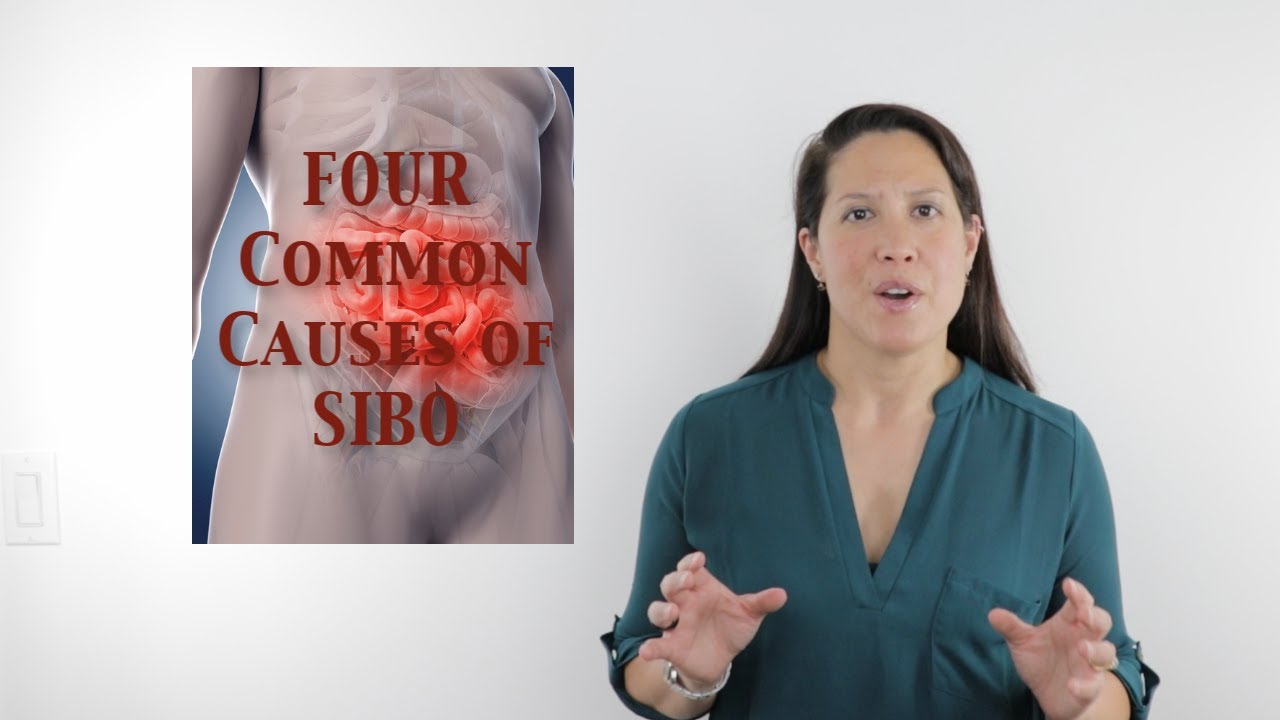 FOUR Common Causes of SIBO - YouTube