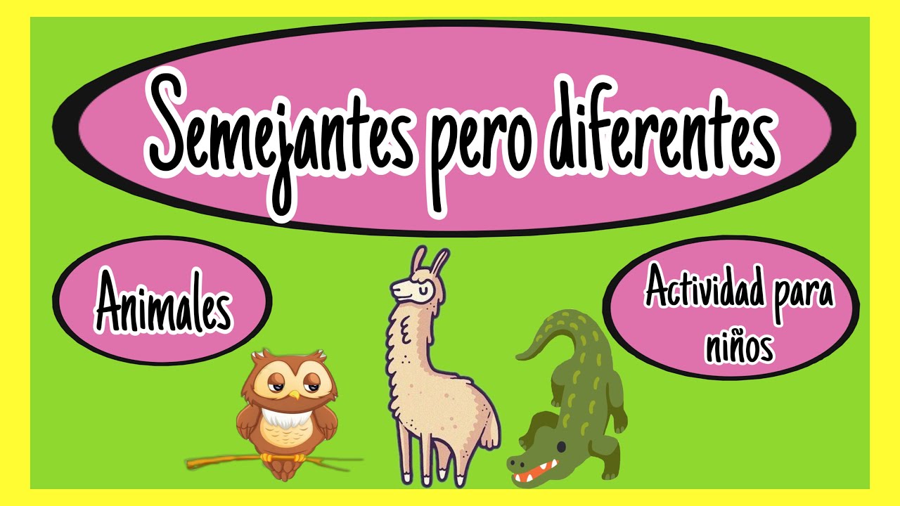 SEMEJANTES PERO DIFERENTES 🐆🐪🐊🦙 #Aprendeencasa #Seresvivos - YouTube