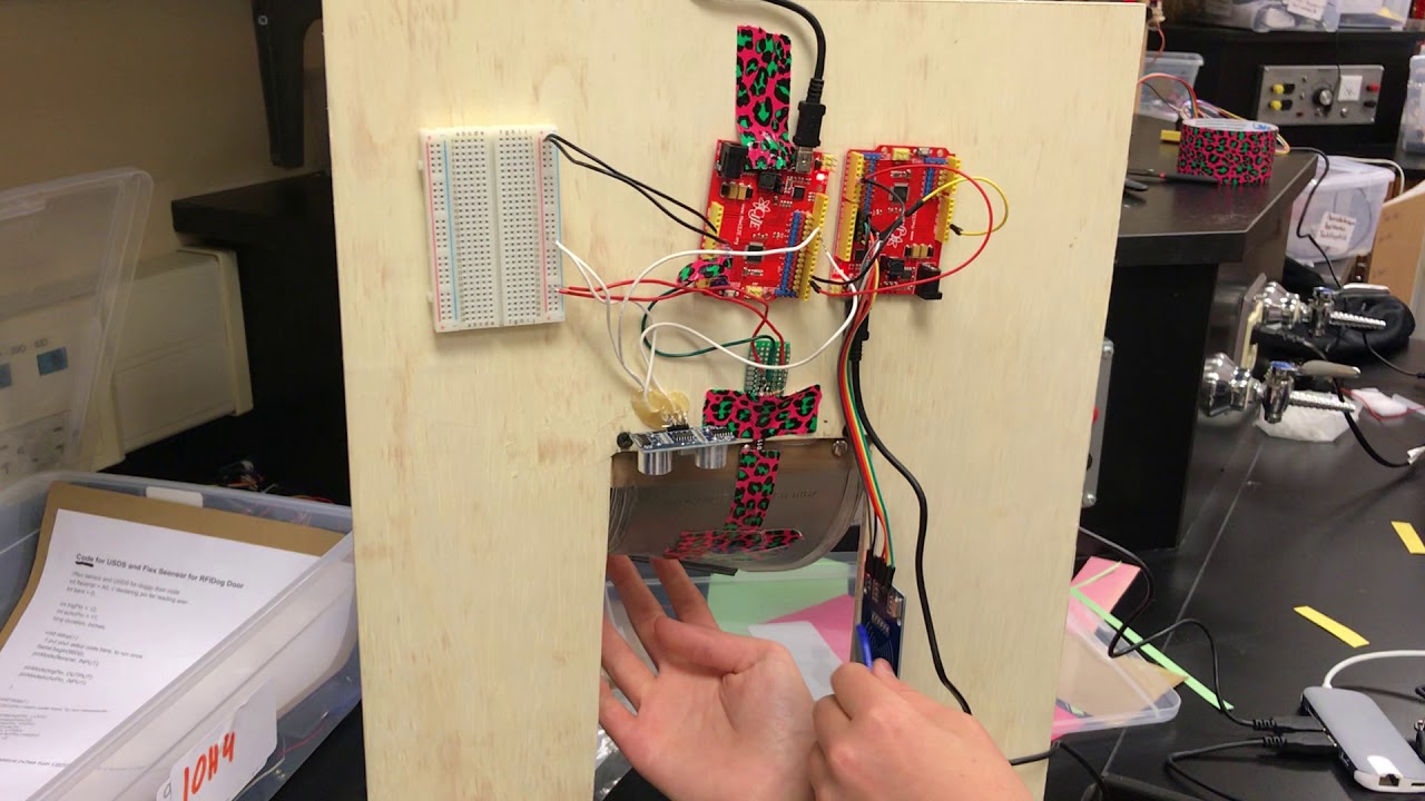 Tani Lewis, Elan Finkelstein, and Judah Almo, smart doggy door, 10th ...