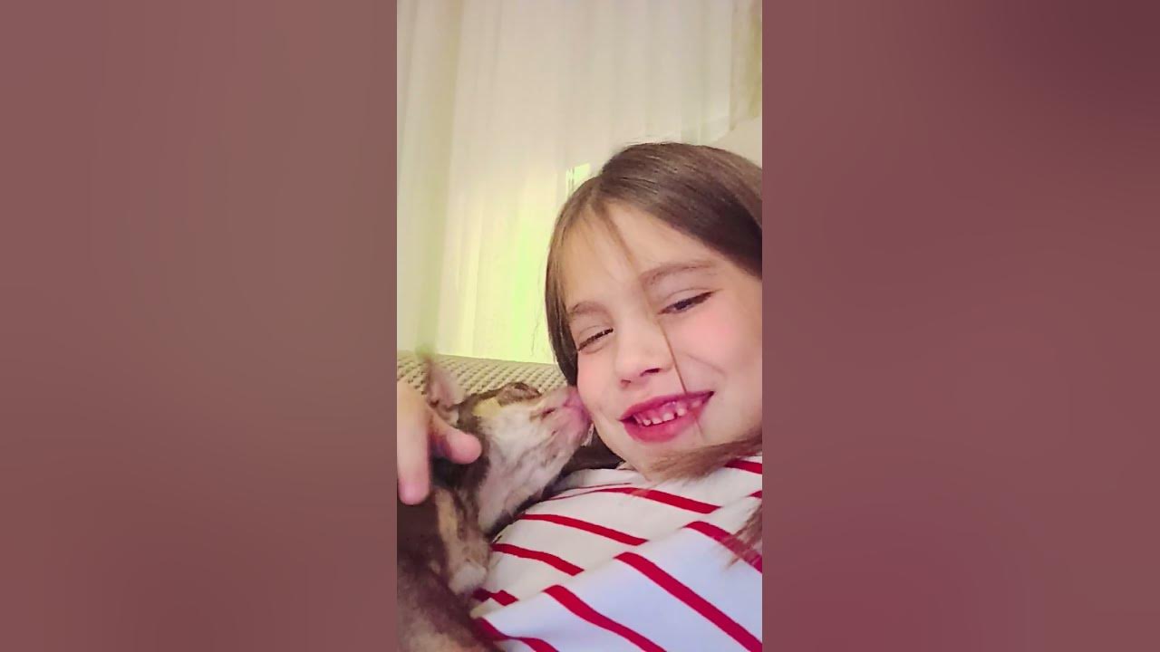 3 декабря 2024 г. - YouTube