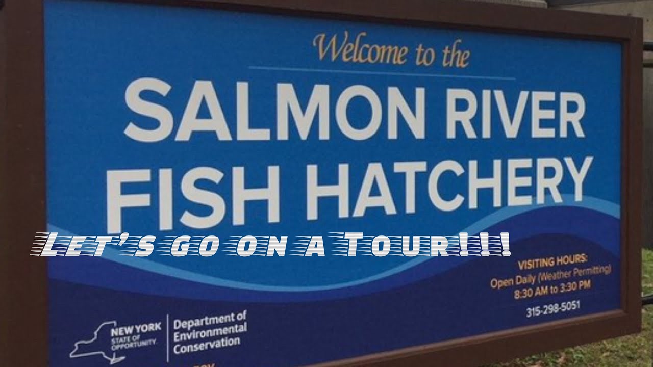Salmon River Hatchery Tour - YouTube