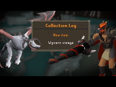 Wyvern Visage - Maxed HCIM Collection Log #16