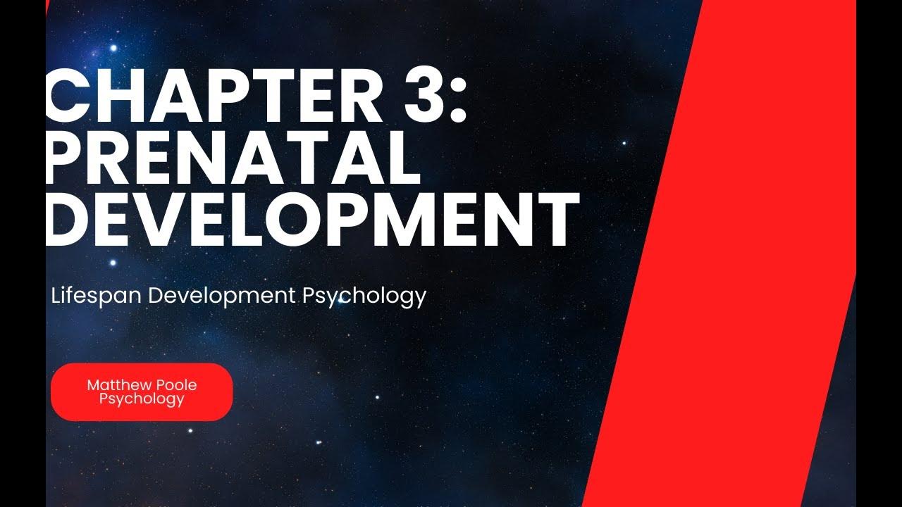 Lifespan Development Psychology - Chapter 3: Prenatal Development - YouTube