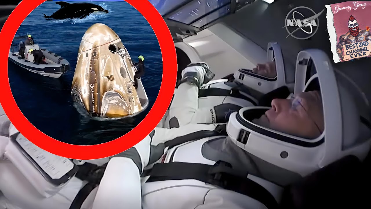 SPLASHDOWN: SpaceX Dragon capsule returns to Earth! Elon Musk DOES IT ...