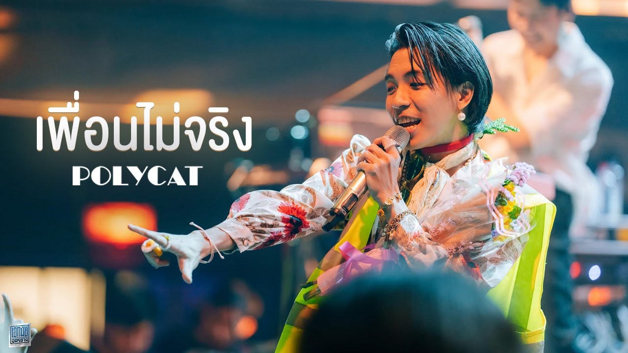 เพื่อนไม่จริง I ภักดี - POLYCAT [Live at เอกมัย อุดรธานี] - YouTube