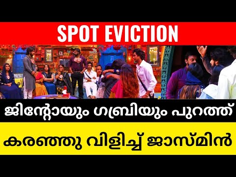 SPOT EVICTION ! JINTO AND GABRI EVICTED | BIGG BOSS MALAYALAM SEASON 6 ...