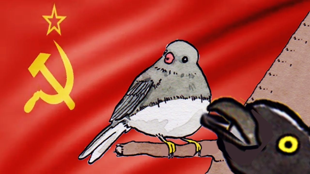 Annoyed Bird BUT It's RUSSIA - YouTube