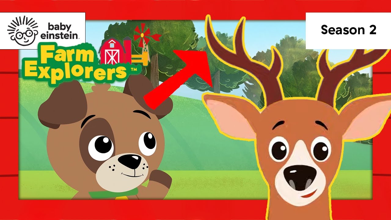 NEW! More or Less with Deer! | Farm Explorers SEASON 2! | Baby Einstein ...