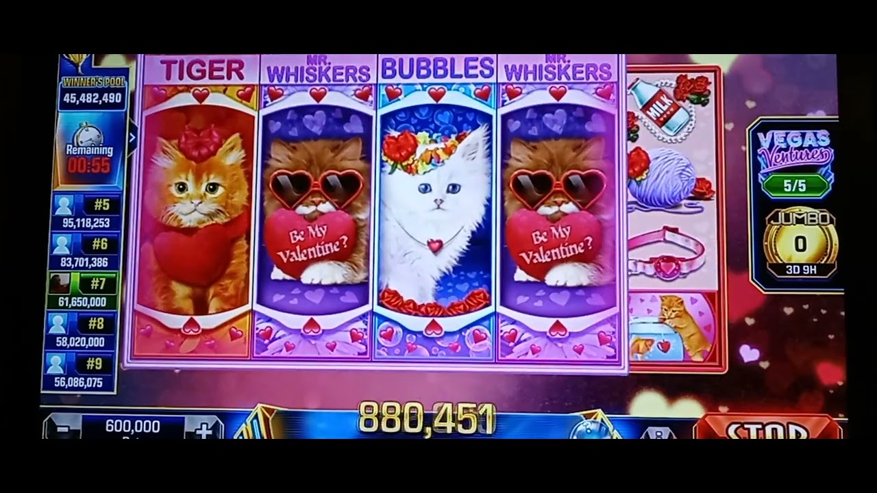 OMG Kitten Brilliant Bonus. Casino Game - YouTube