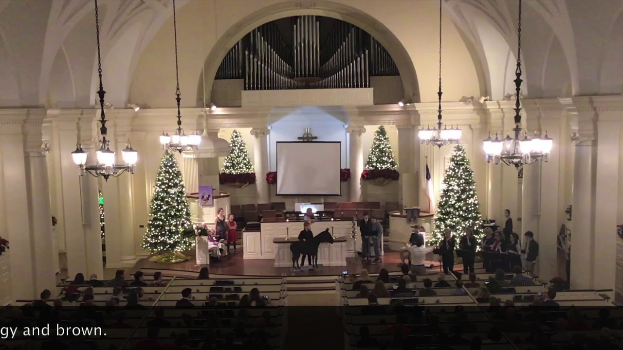 THE FRIENDLY BEASTS - YouTube