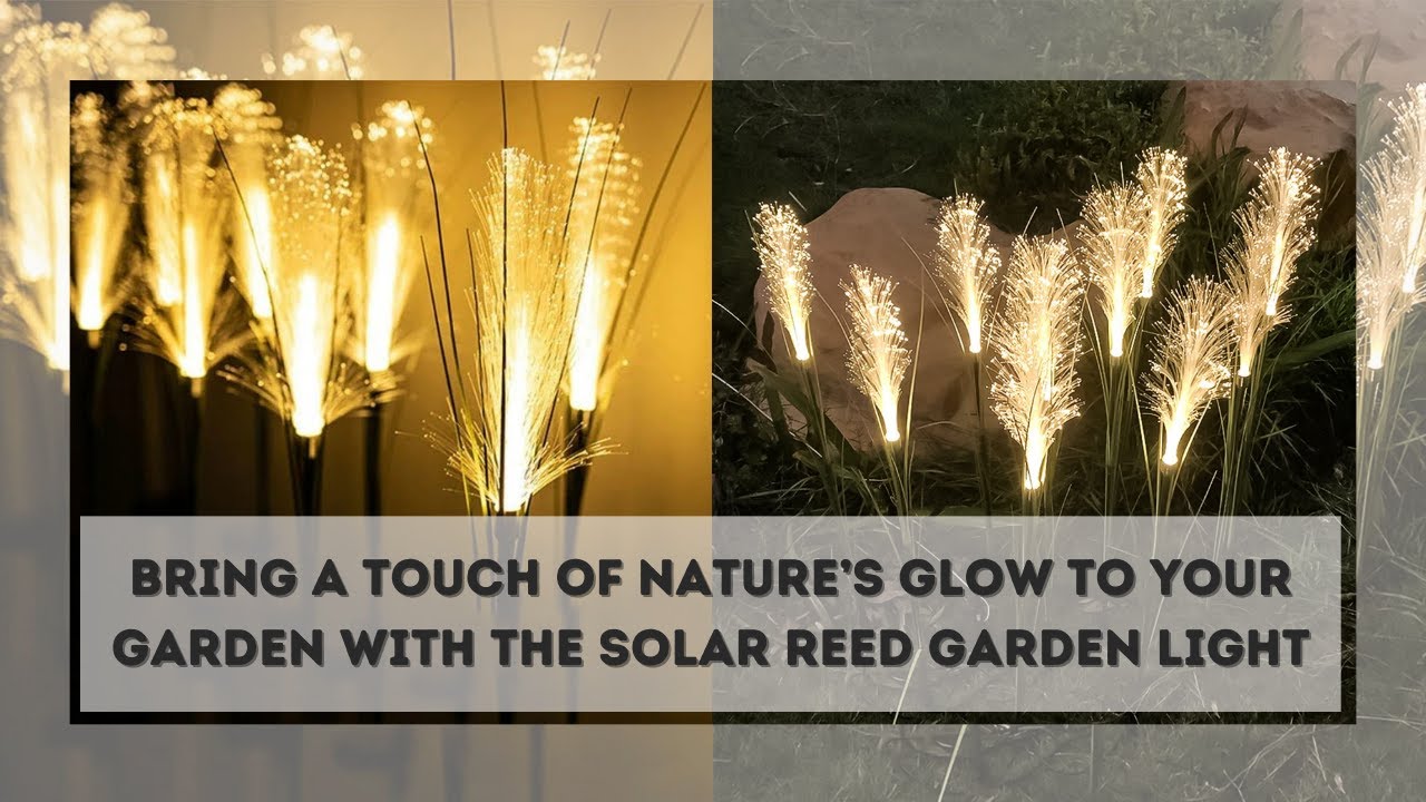 Solar Reed Garden Light - LED Solar Garden Lights Outdoor Waterproof ...