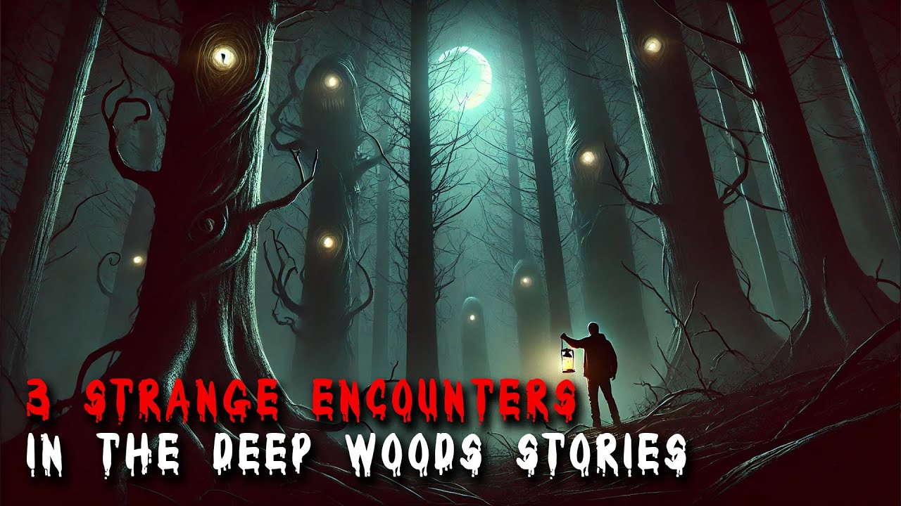 3 Strange Encounters in the Deep Woods - YouTube