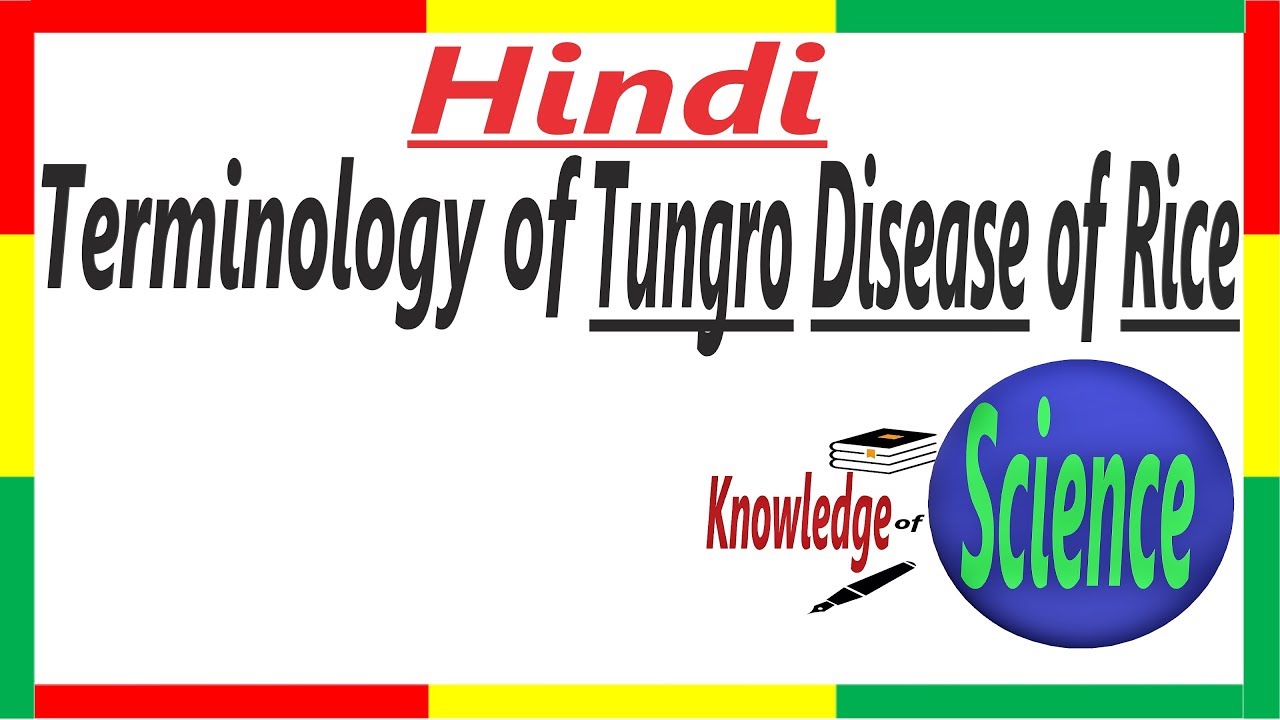 Terminology - Tungro Disease of Rice | Plant Pathology | Rice Disease ...