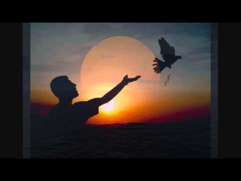 SERDAR ORTAC - Denemek Istersen