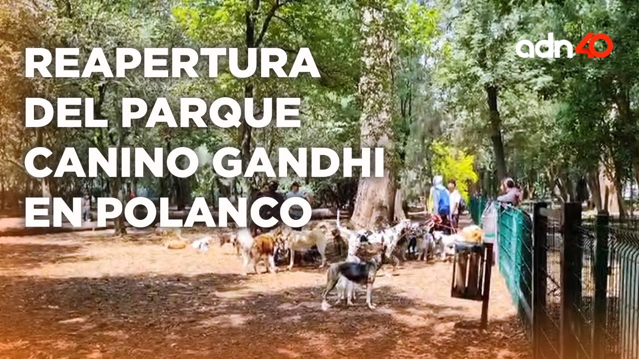 Vuelven perritos al parque canino Gandhi en Polanco I México en tiempo ...