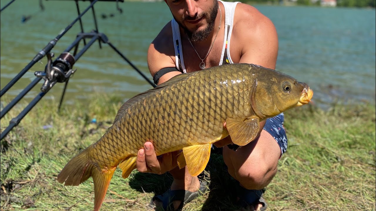 Cennet Gibi Merada Muhteşem Sazan Kampı (08.2022) - YouTube
