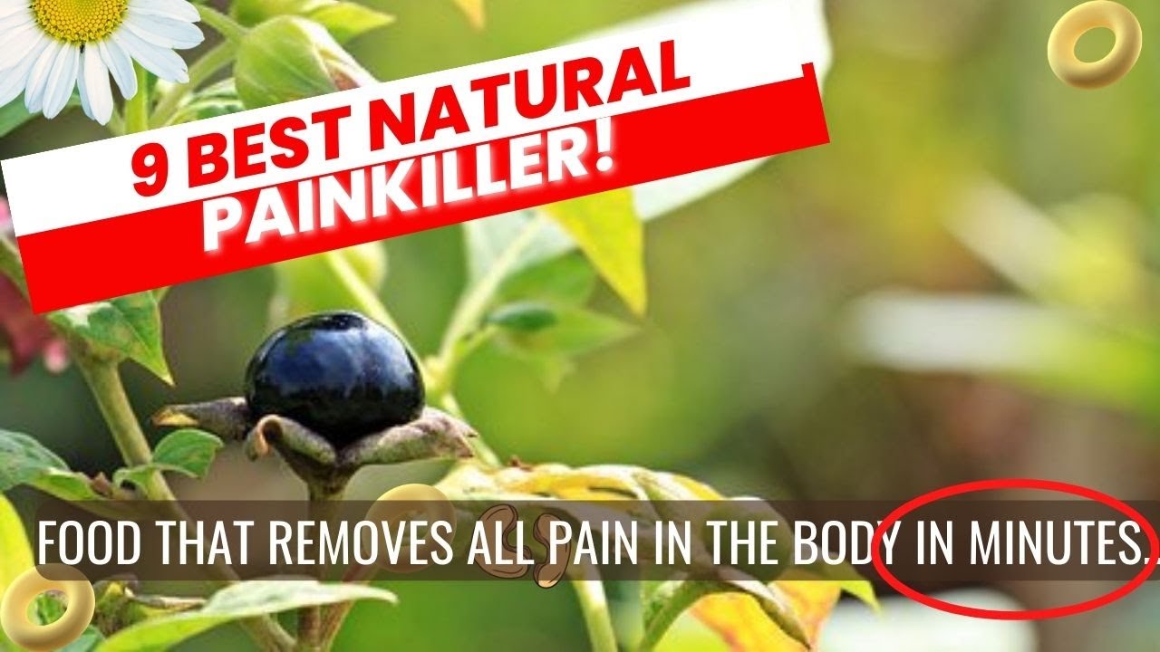 9 Best Natural painkiller! Food that removes all pain in the body in ...