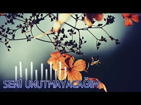 Seni unutmayacağım #aşk #sevda #türküleri #arabesk #duygusal