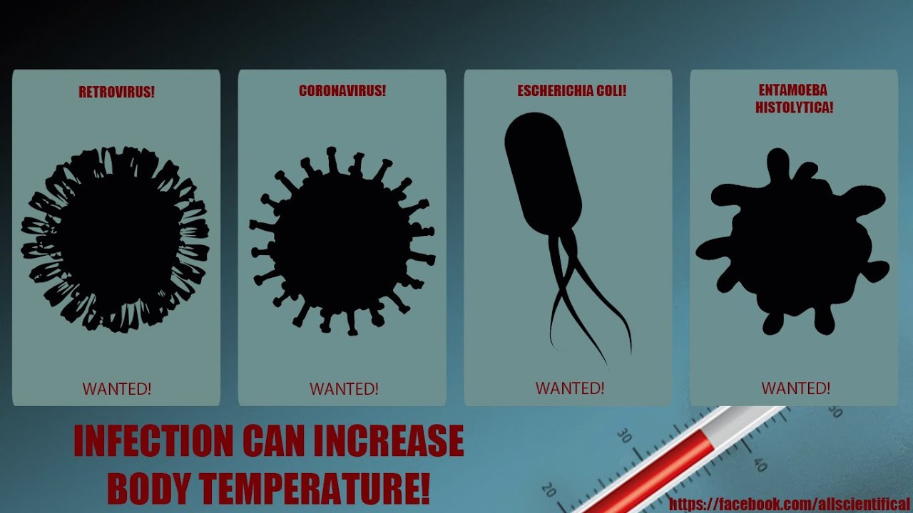 Why does the body temperature rise? - YouTube