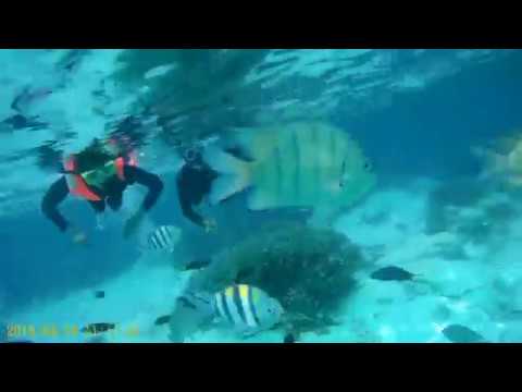Snorkeling Trip Tioman Island 👉 Tulai Island Point - YouTube