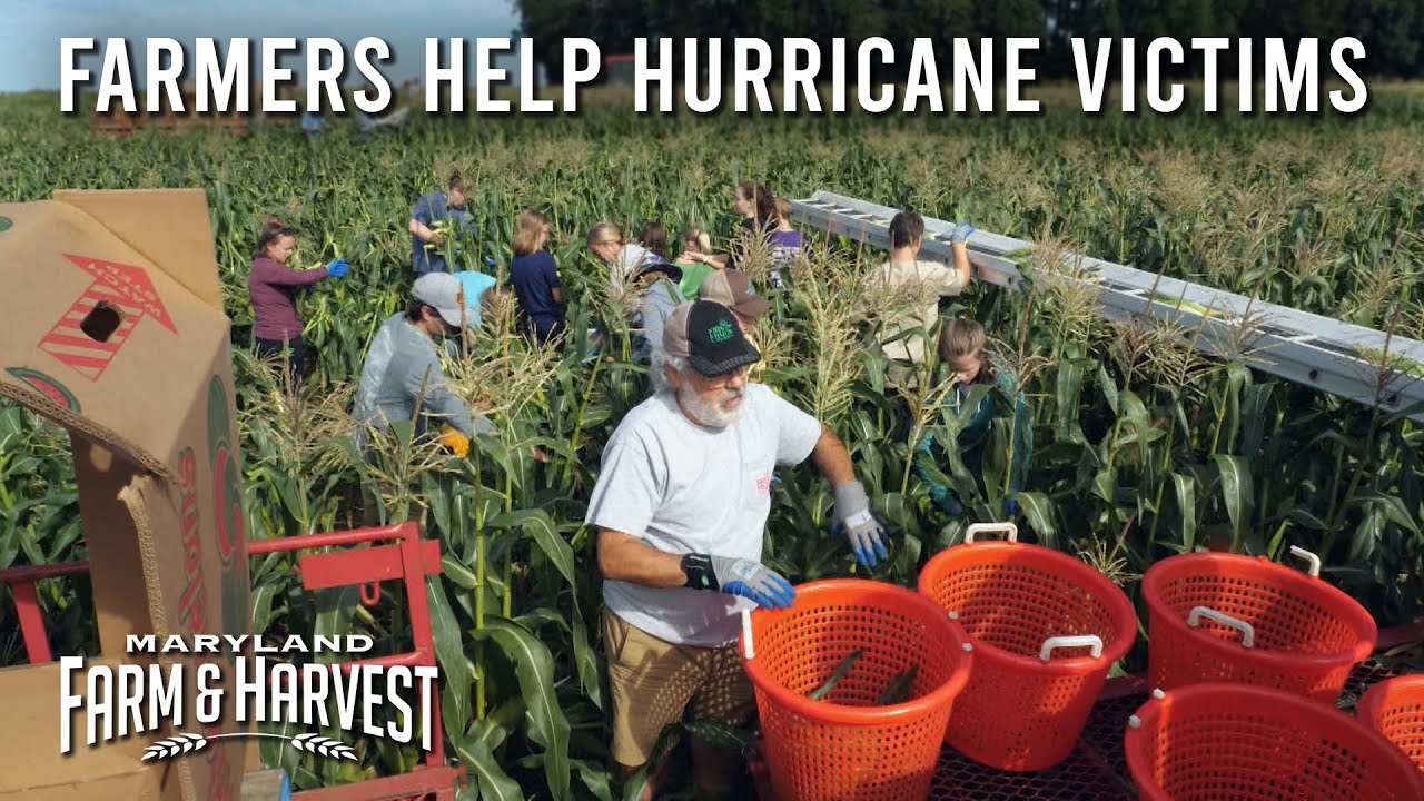 Farmers Donate Over 40,000 lbs of Food to Hurricane Relief! | MD F&H ...