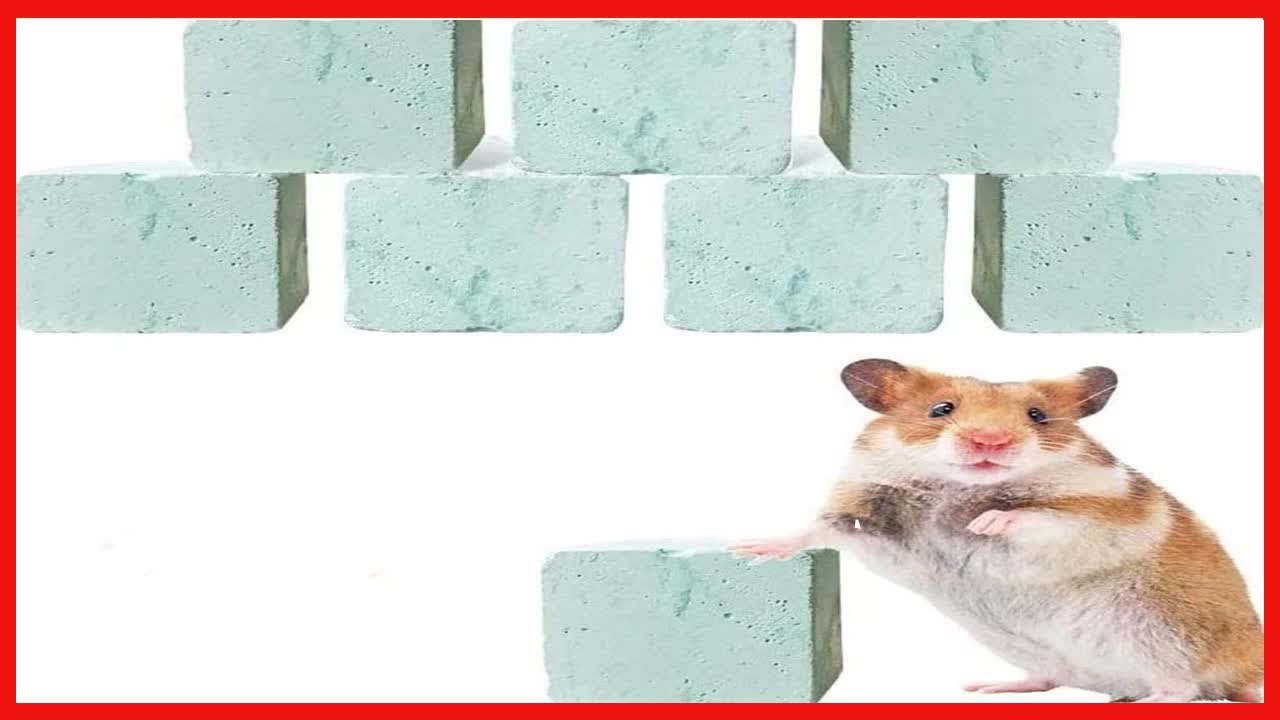 Rat Lava Block Chew Toy,Chinchilla Bites Calcium Cubes Stone for ...