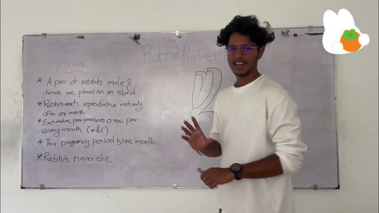 🐰 Rabbit Problem & Fibonacci Sequence | Recursive vs. Iterative ...