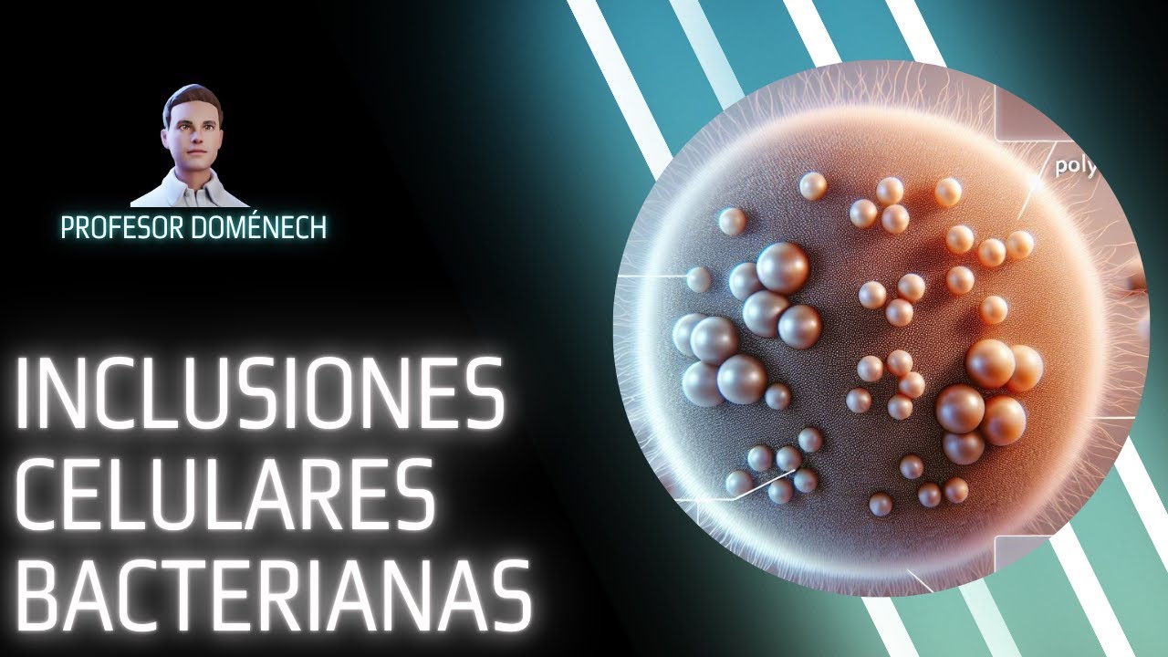 Los Secretos de las Inclusiones Celulares Bacterianas REVELADOS! - YouTube