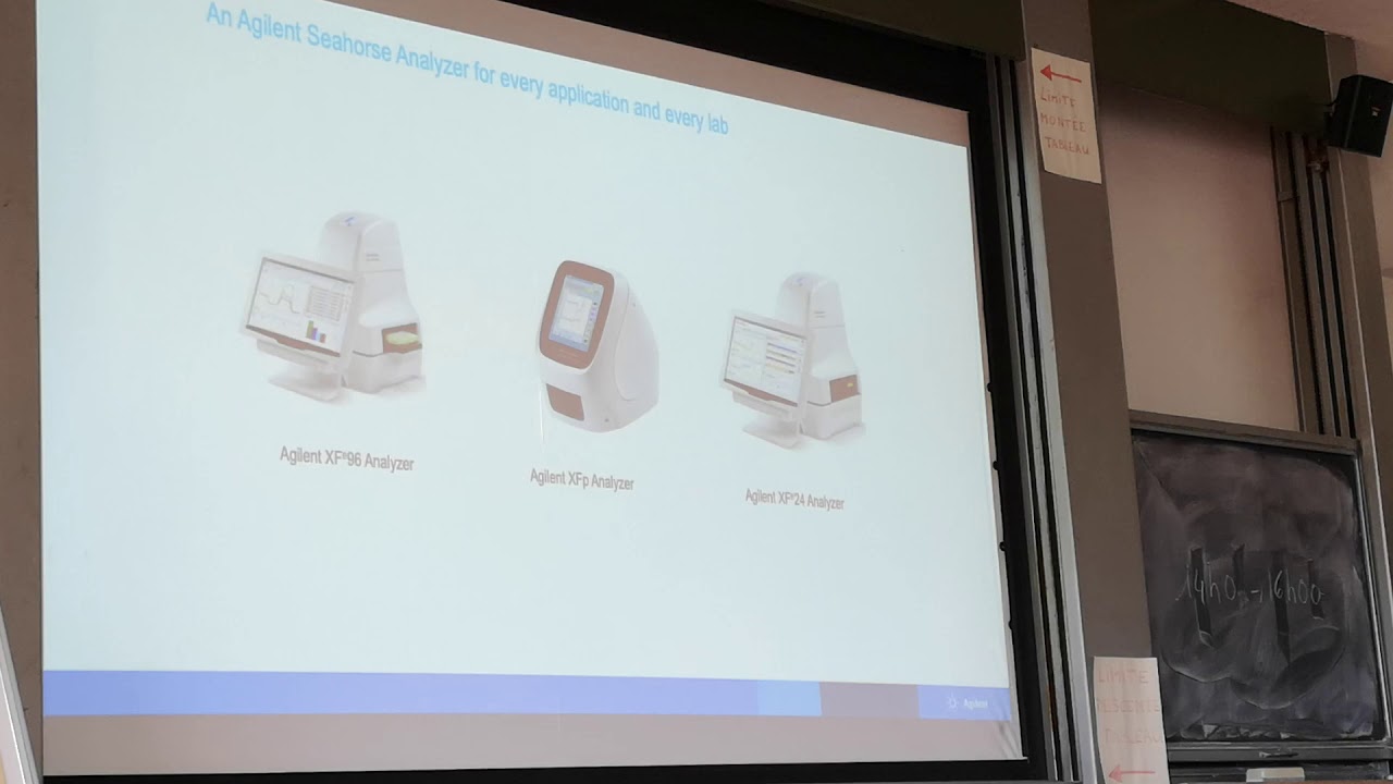 Introduction to Seahorse XF Technology, New Developments and ...