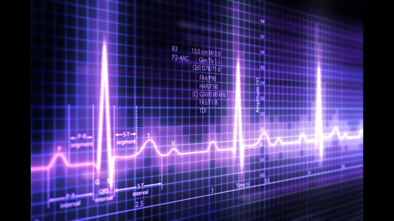 8ight Research Labs -- Heart Rate Variability - YouTube