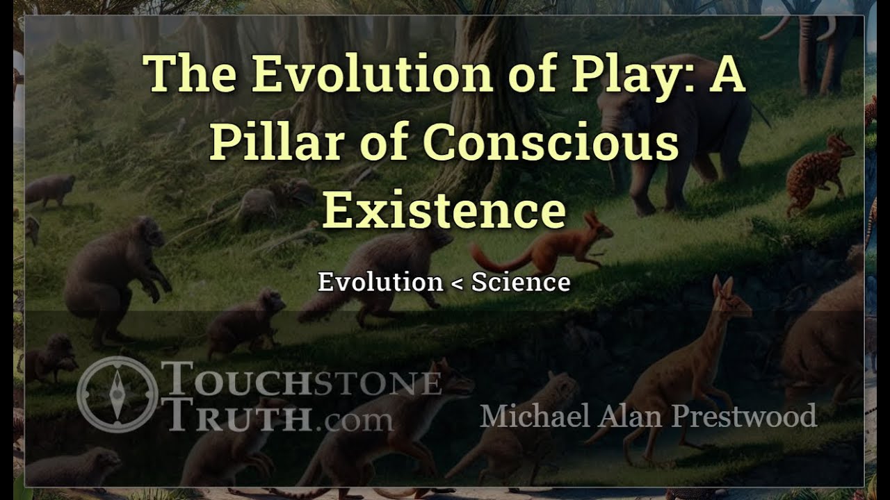 The Evolution of Play: A Pillar of Conscious Existence - YouTube