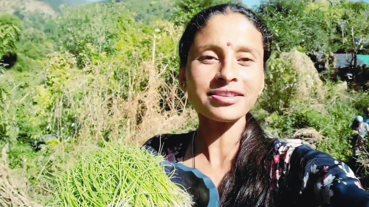 आज मैं बहुत खुश हूं मेरी गौरी प्रेगनेंट हैं, आज प्याज़ लगा दिया हमने और ...