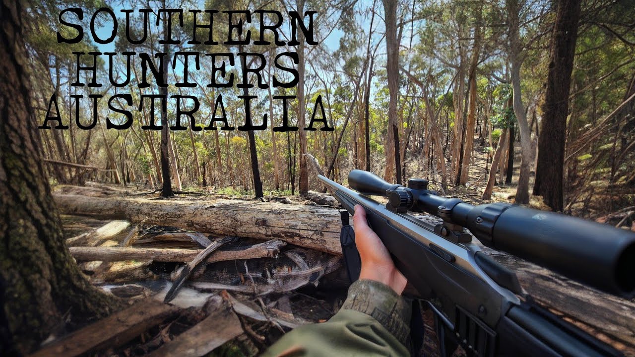 Hunting Crunchyland. Victoria Deer Hunt. - YouTube